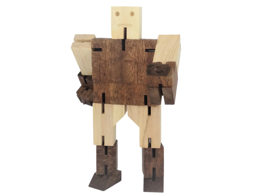 Robot Cube – Puzzling Puzzles